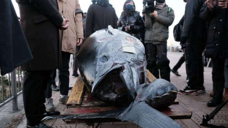 World's most expensive fish lunch? The bluefin tuna that became a ...