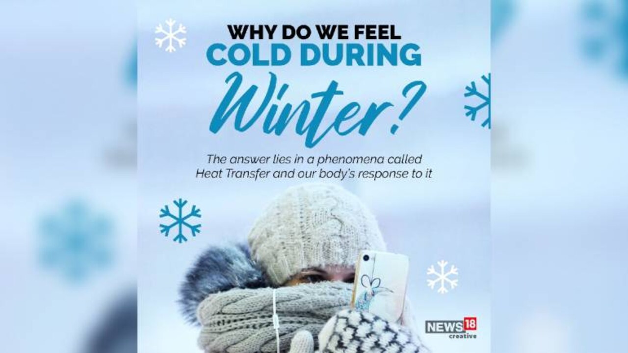 Why do we feel cold in winter and how our body protects itself from the ...