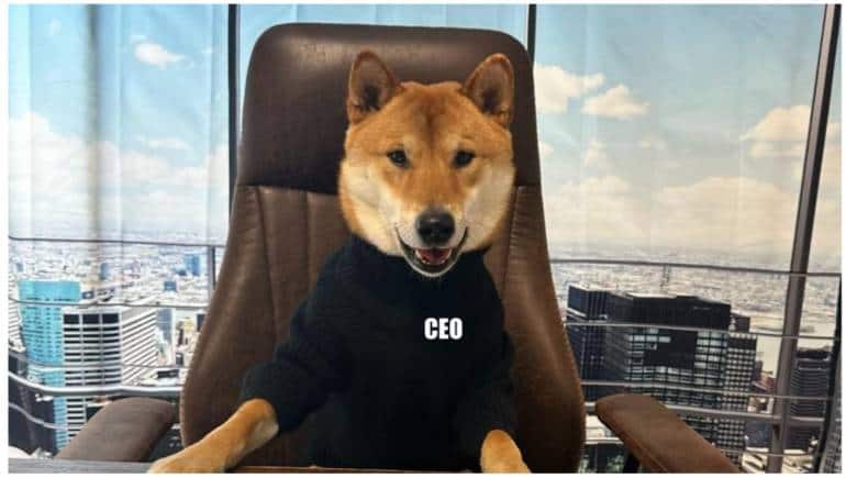 Elon Musk’s pet raised Dogecoin’s market cap by $500 million within minutes