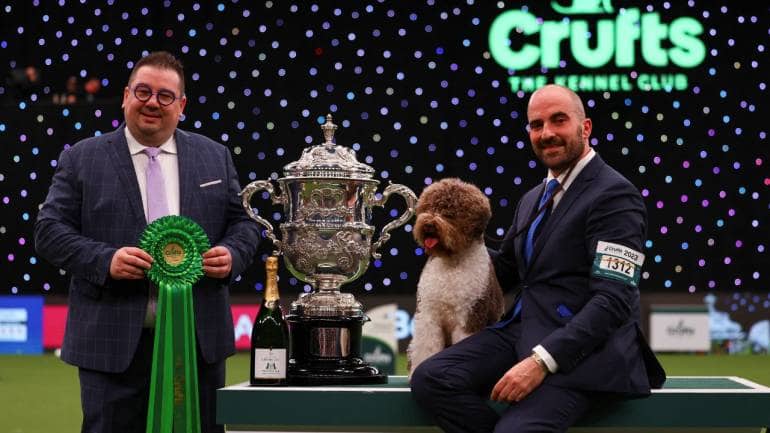 In Pics: Top dogs compete at Britain's Crufts Dog Show 2023