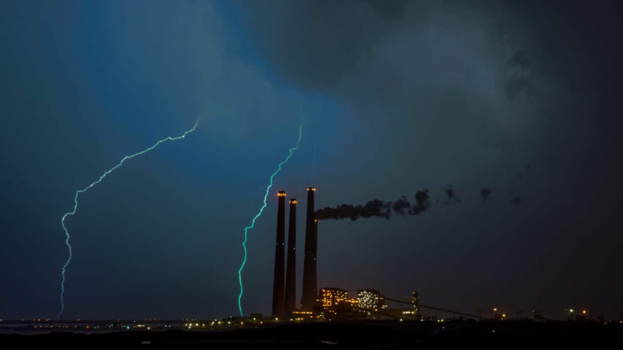Pictures of the week: Stunning images from across the world