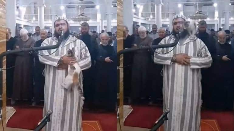 Viral video: Cat climbs onto sheikh leading Ramadan prayers