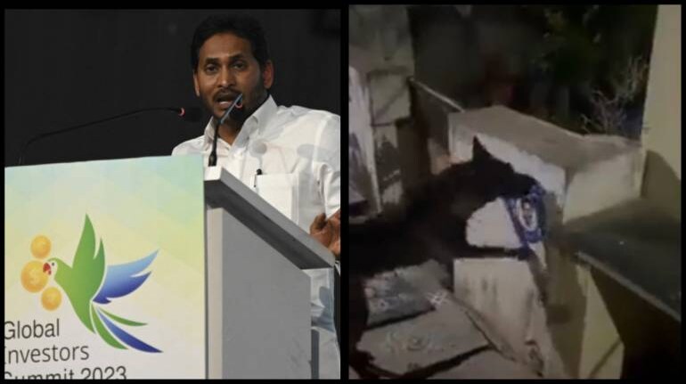 'Police complaint' filed against dog for tearing Andhra CM Jagan Mohan ...