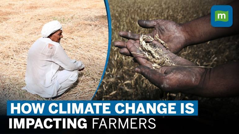 How Unseasonal Rains, Rising Heatwaves Impacted Indian Farmers ...