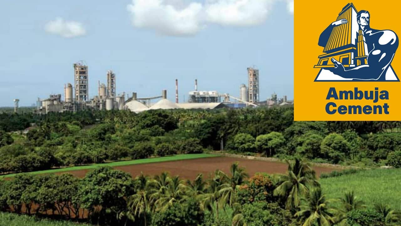 Cautious of market highs, these large-caps exit MF portfolio