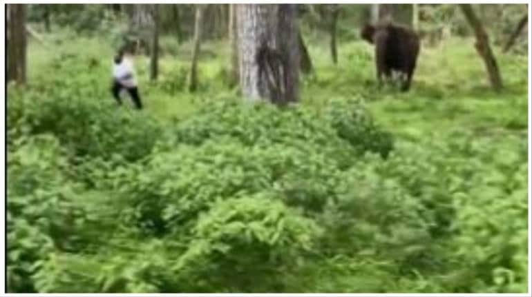 Man runs for his life after getting chased by elephant. Video