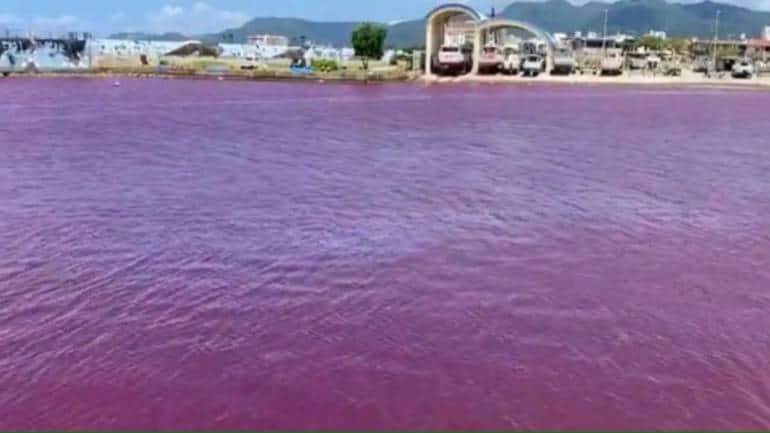 Why a river in Japan turned blood red, alarming locals