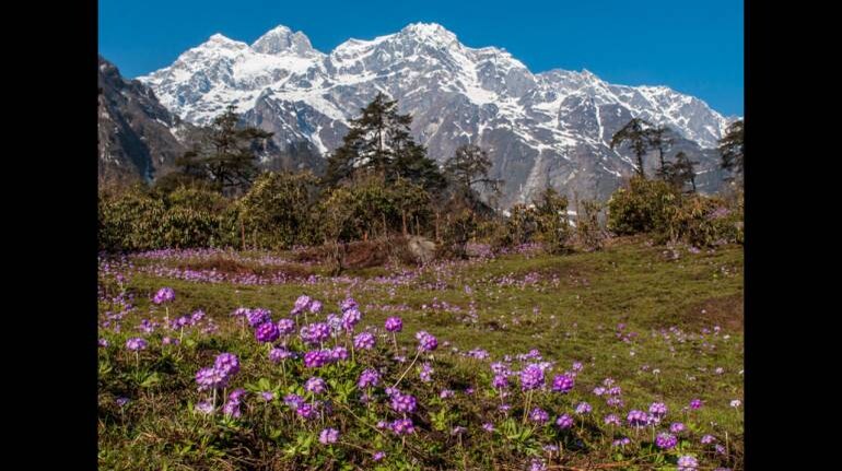 7 stunning domestic summer holiday destinations
