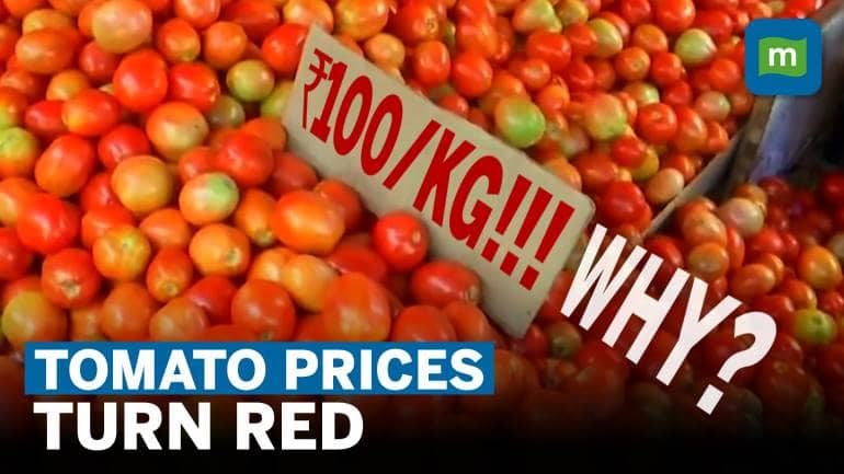 Tomato Price Rise: Why are tomatoes being sold at Rs 100/kg in Delhi & Bengaluru?