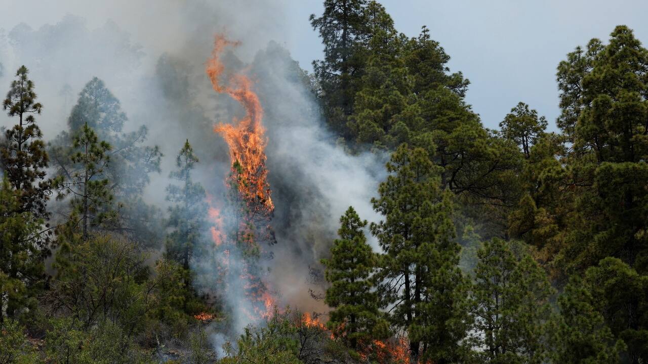 In Pics: Thousands evacuated as firefighters battle La Palma wildfire ...