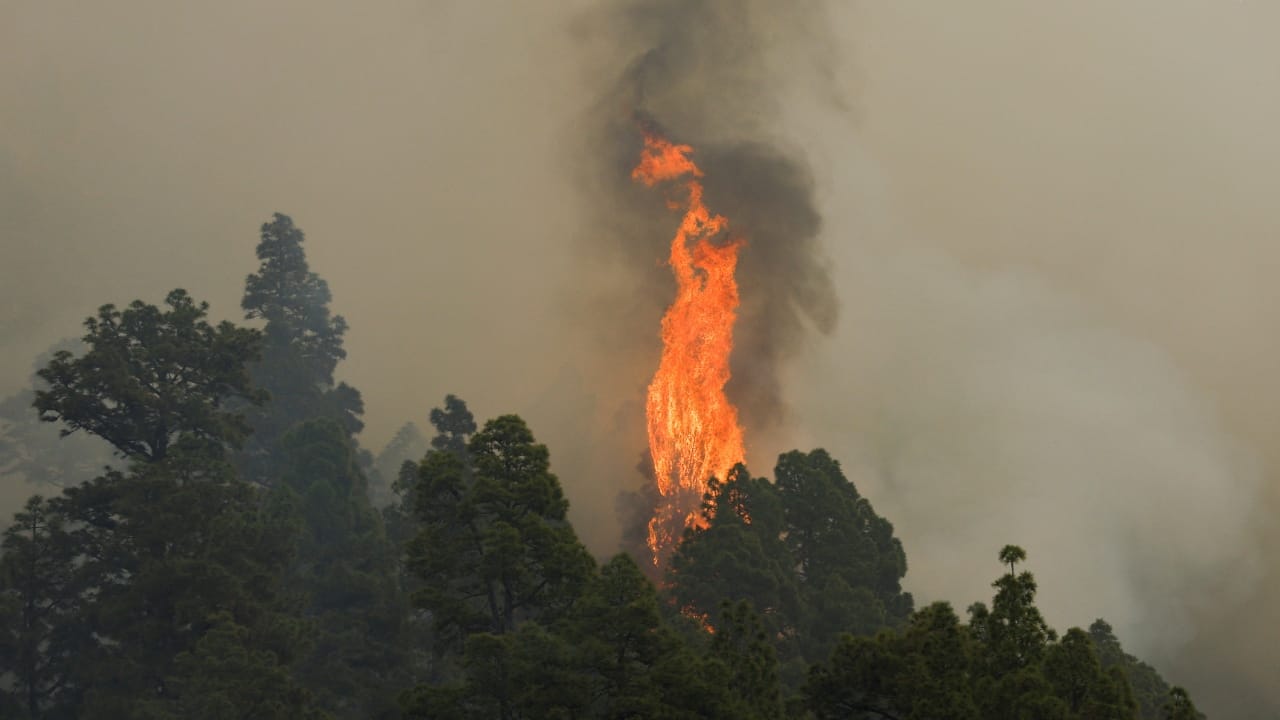In Pics: Thousands evacuated as firefighters battle La Palma wildfire ...