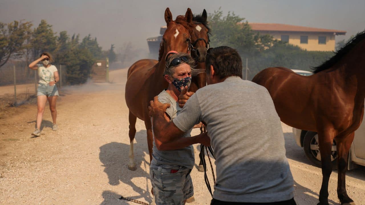 In Pics: Wildfire in Athens forces thousands to flee towns ...
