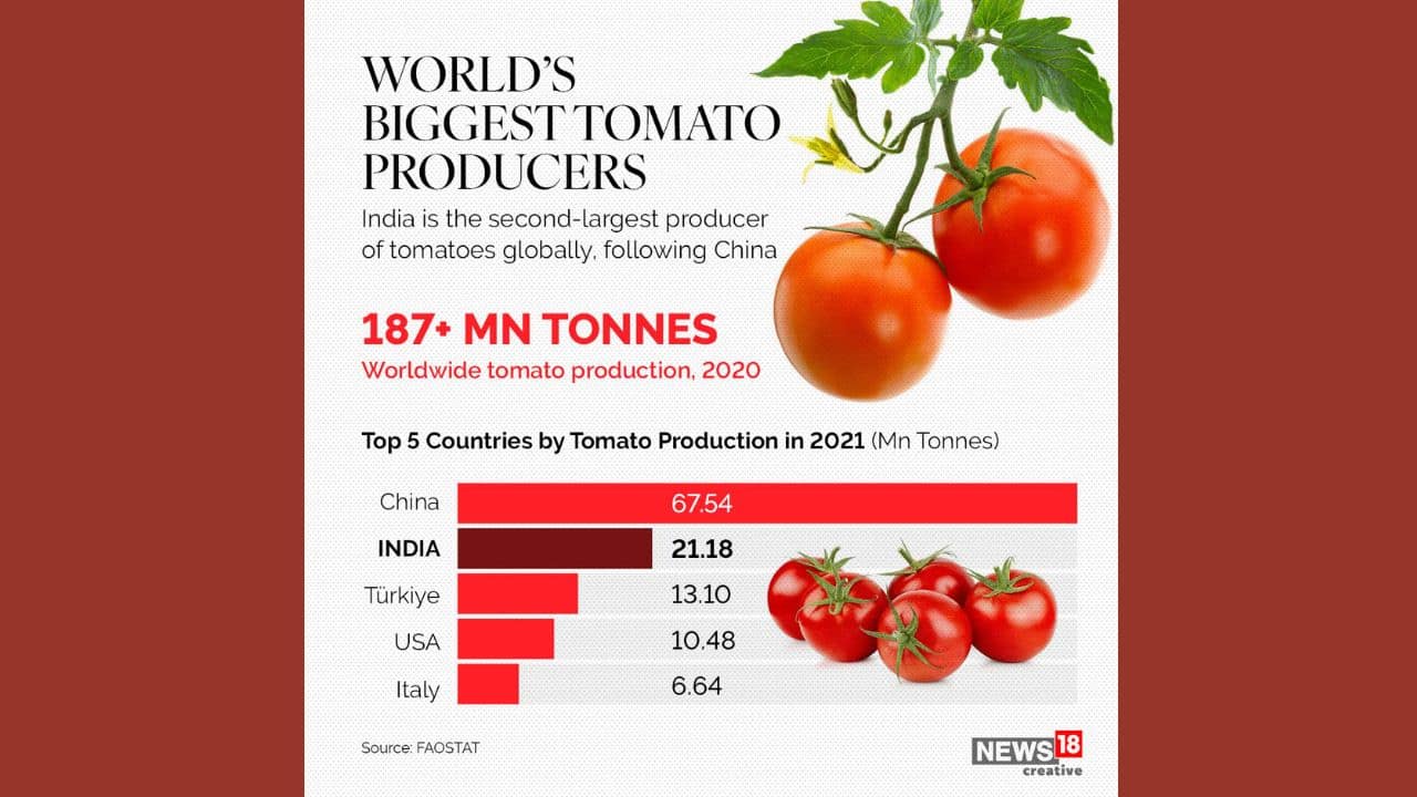 In Pics: The Tomato story - A visual tale of its journey | Moneycontrol ...