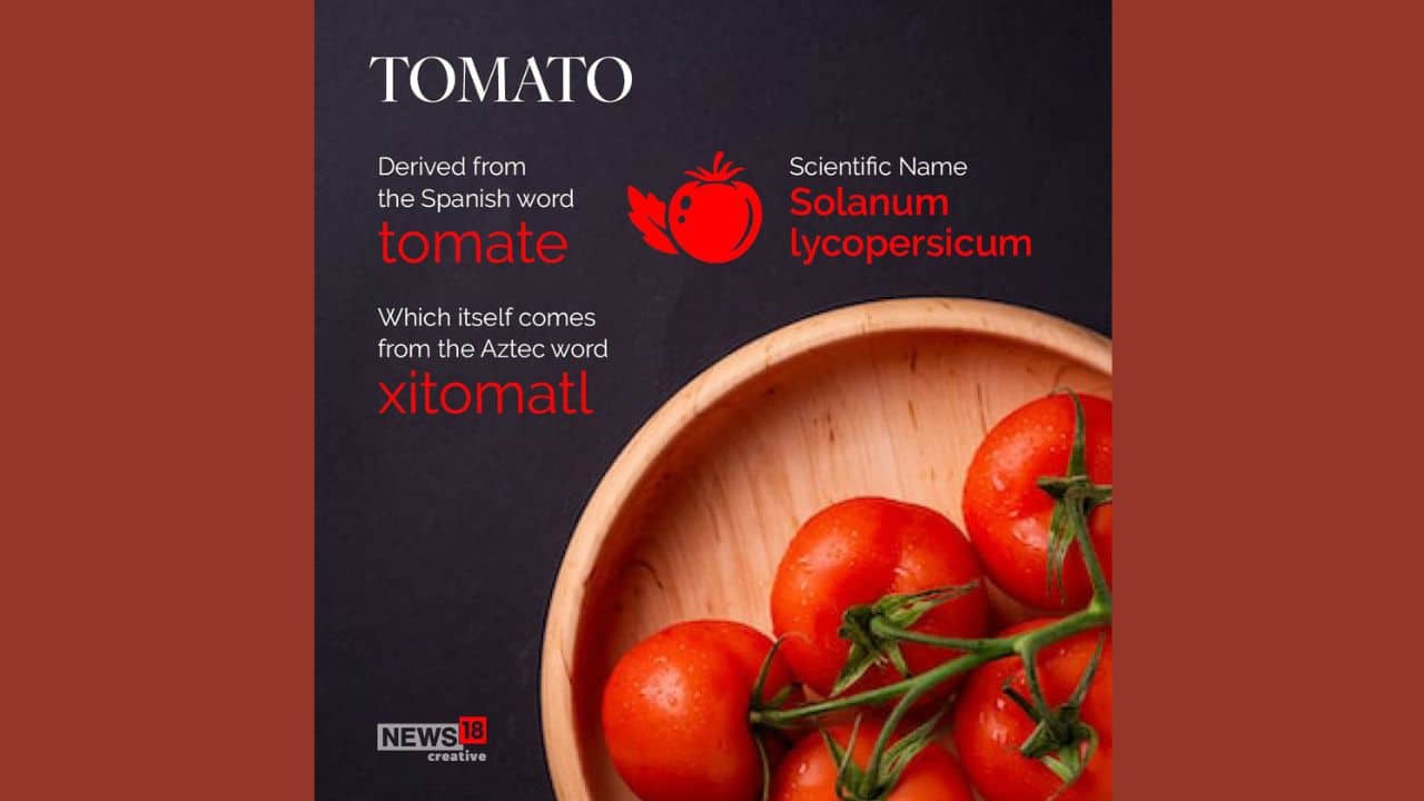 In Pics: The Tomato story - A visual tale of its journey | Moneycontrol ...