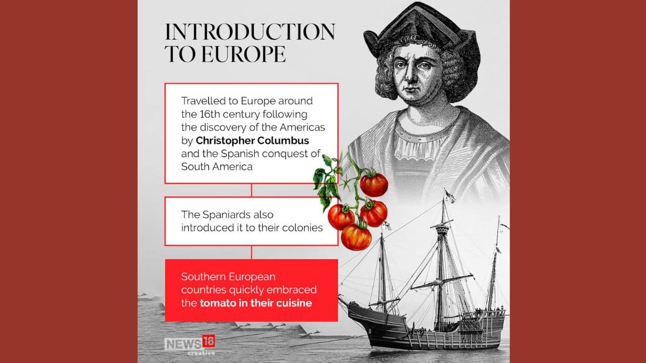 In Pics: The Tomato story - A visual tale of its journey