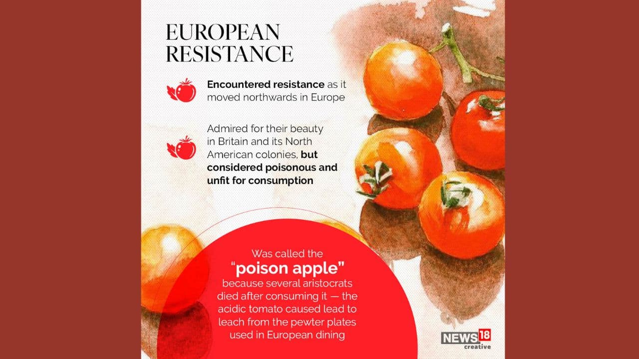 In Pics: The Tomato story - A visual tale of its journey