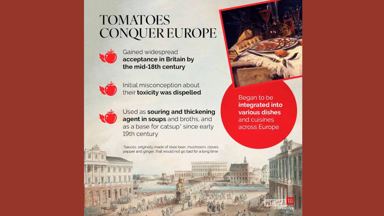 In Pics: The Tomato story - A visual tale of its journey | Moneycontrol ...