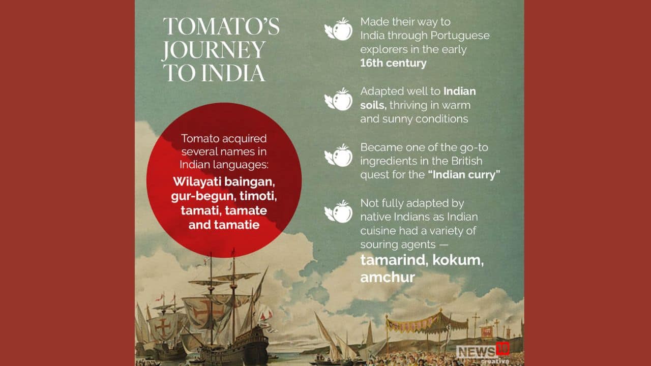 In Pics: The Tomato story - A visual tale of its journey | Moneycontrol ...
