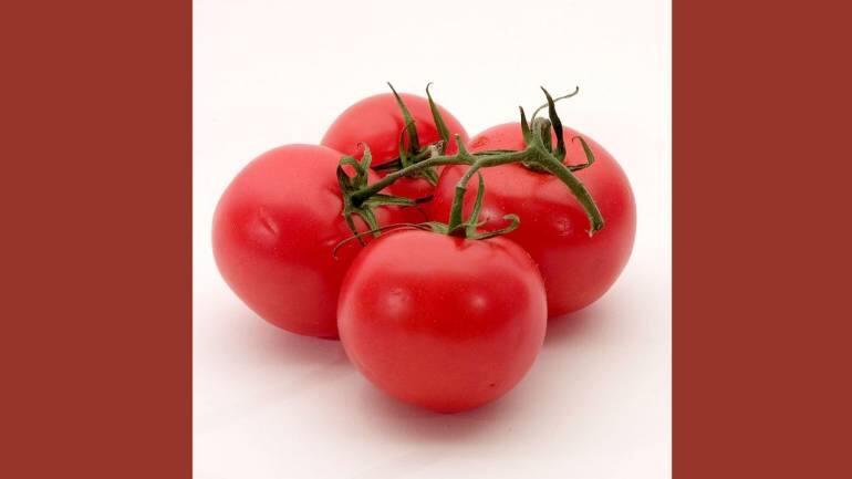 In Pics: The Tomato story - A visual tale of its journey