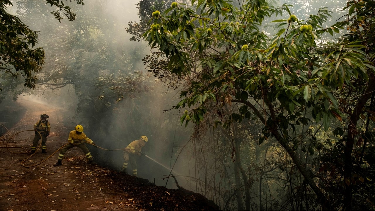 From Europe to Canada to Hawaii, photos capture destructive power of ...
