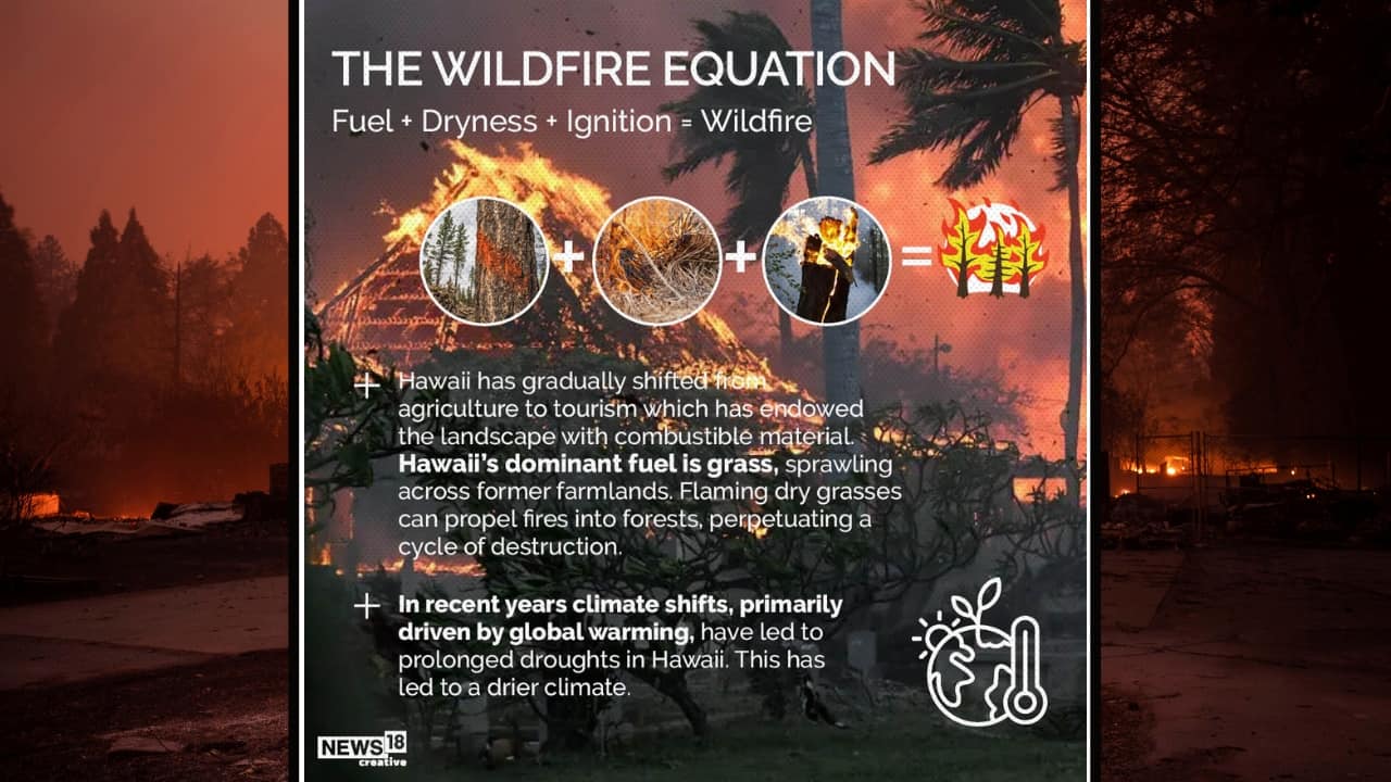 Hawaii Wildfires: What caused the blaze and how it became so ...