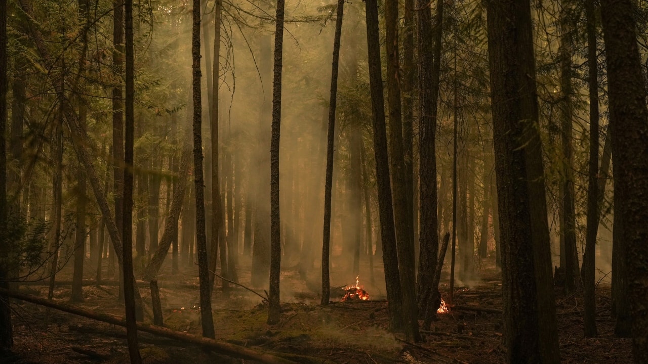 From Europe to Canada to Hawaii, photos capture destructive power of wildfires