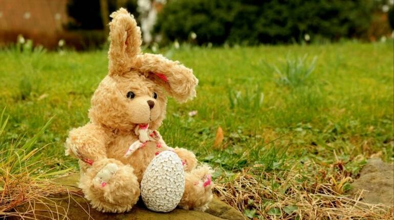 Woman offers Rs 6 lakh reward for missing soft toys: ‘They’re my babies’