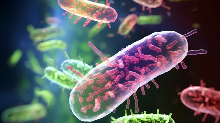 Deadly 'flesh-eating bacteria' infections on the rise in Japan, can ...