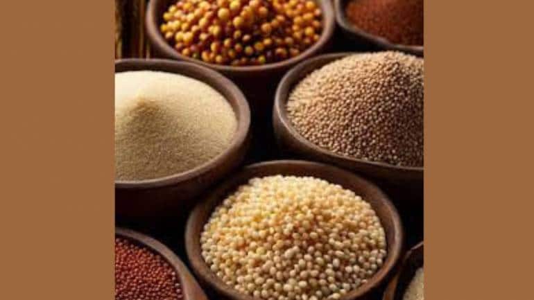 In Pics: Millet-based fusion cuisine awaits world leaders at G20 Summit