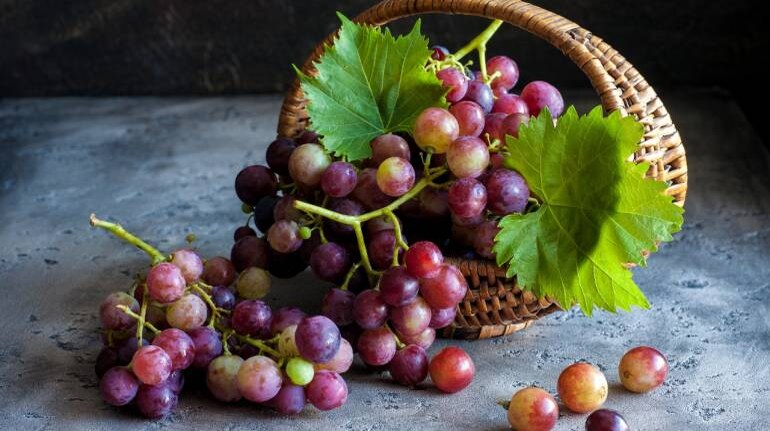Health benefits of grapes: Not just diabetes or blood pressure, grapes ...