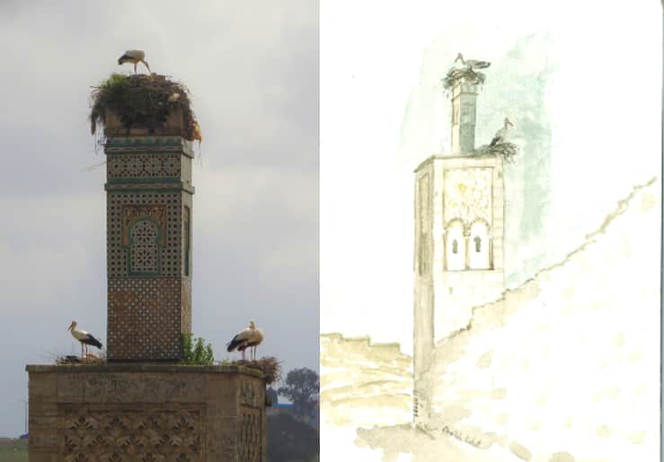 World Tourism Day 2023: When white storks conquered the ancient ...