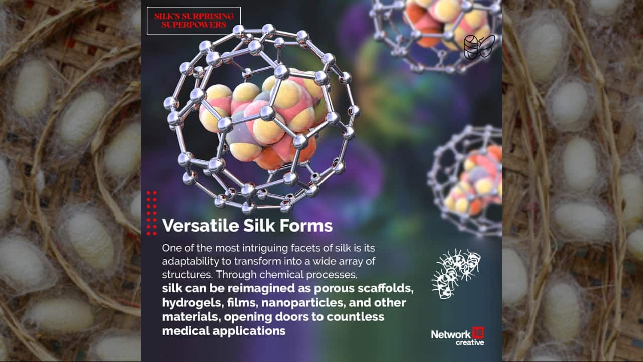 From sutures to vaccine: Here's everything you need to know about silk ...