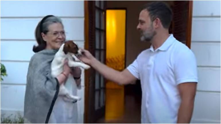 'Our little Noorie': Rahul Gandhi surprises Sonia Gandhi with puppy ...