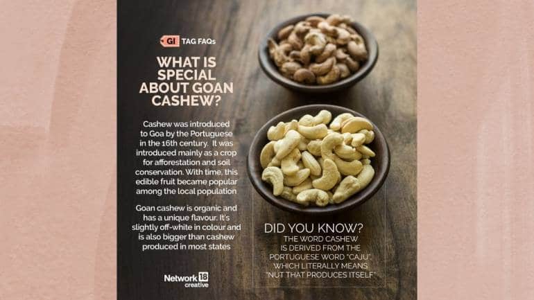 Goan cashew gets GI tag. Here is everything you need to know