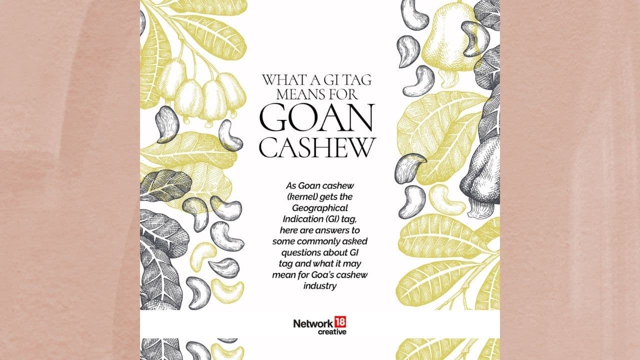 Goan cashew gets GI tag. Here is everything you need to know ...