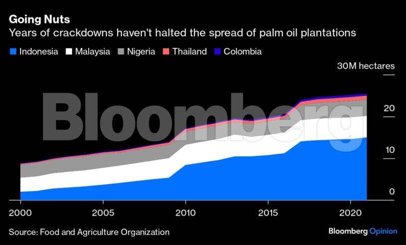 Climate Change: Europe’s palm oil fight is hazed and confused