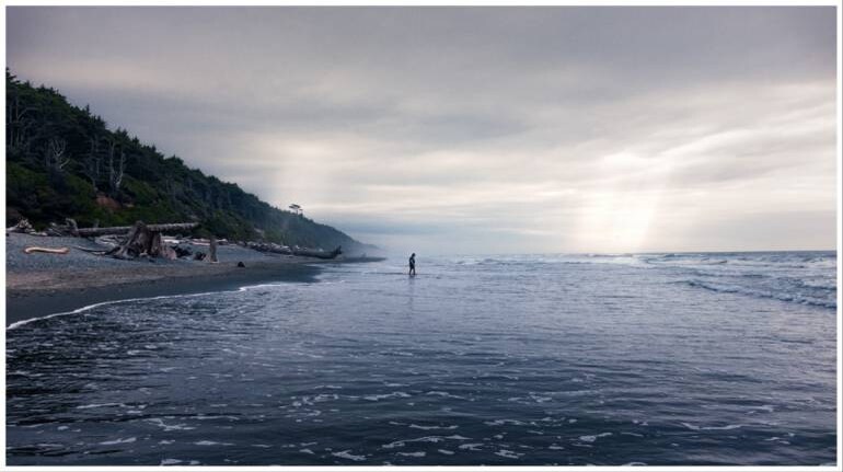 Man who went missing at sea for 2 weeks found alive near Washington coast