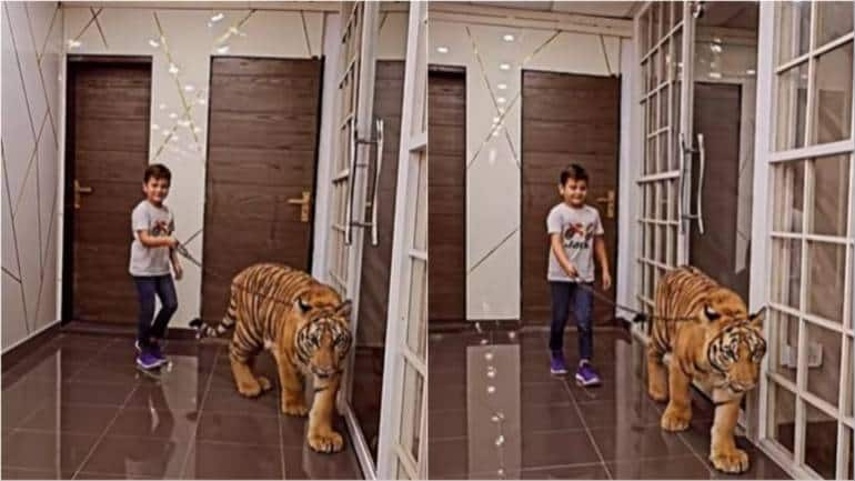 Pakistani YouTuber shares video of young boy walking tiger, sparks a row