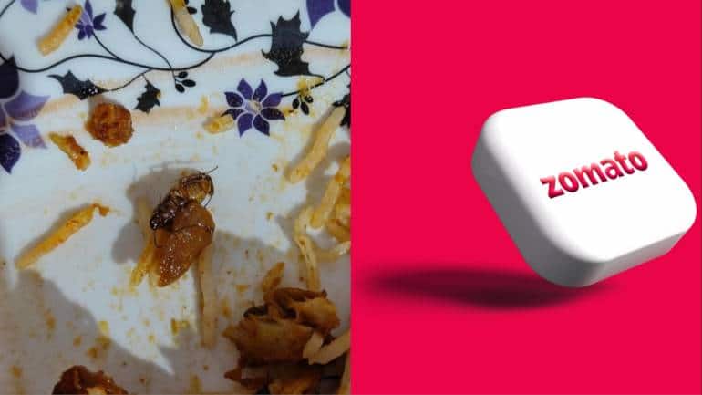 Zomato customer finds dead cockroach in biryani: 'Kind enough to give ...