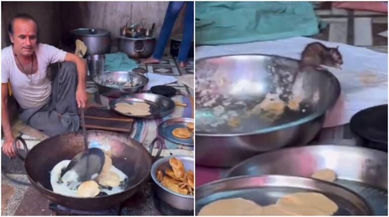 Rats scurry in kitchen, eat dough as man fries puris. Watch