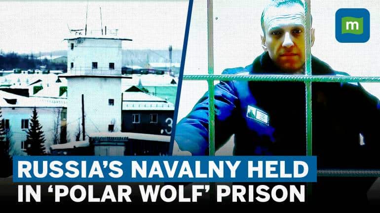 What is Russia’s ‘Polar Wolf’ prison? The prison holding Putin’s critic ...