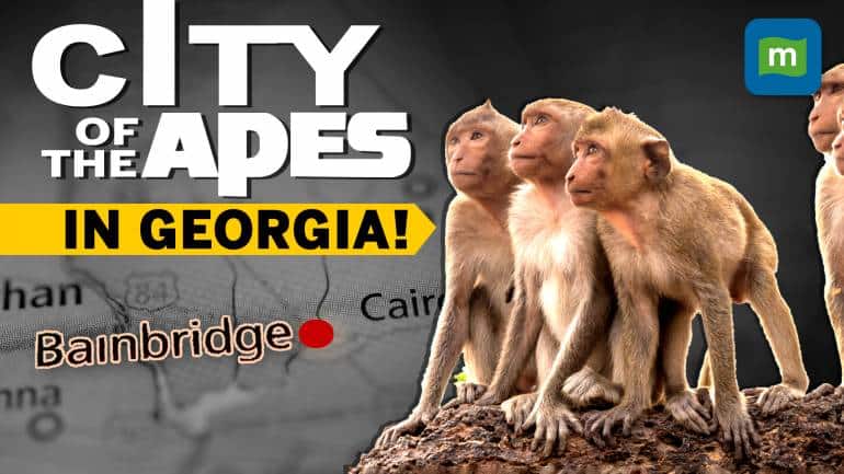 $400 Million Monkey-breeding facility sparks protests in Southwest Georgia
