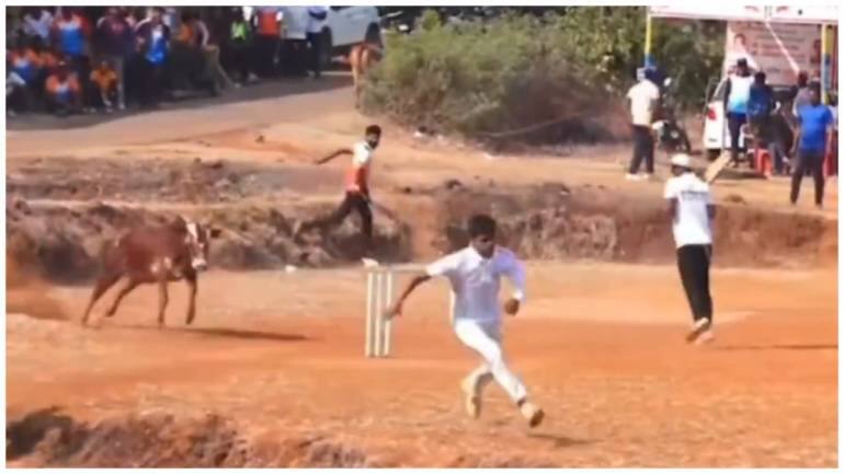 Bull invades gully cricket match, chases players in viral video. Cue ...