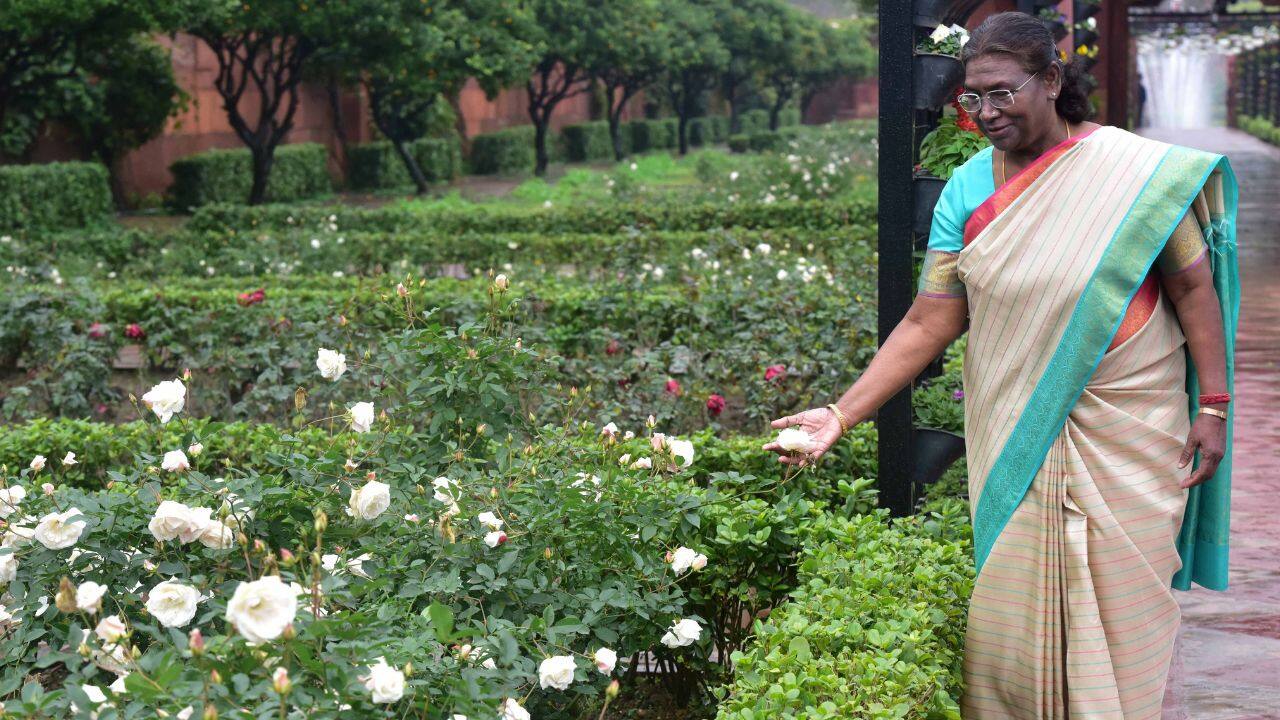 Amrit Udyan opens for public till March 31: Check timings, how to book ...