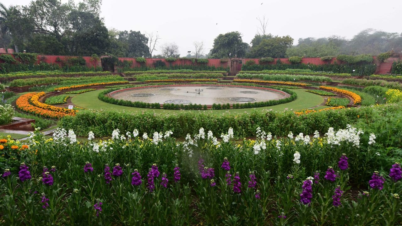 Amrit Udyan opens for public till March 31: Check timings, how to book ...