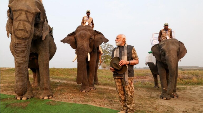 Global body suspends Delhi zoo's membership amid concern over African ...