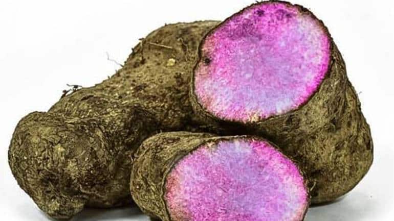 6 health benefits of purple yam (kand), a staple of the Maha Shivratri ...