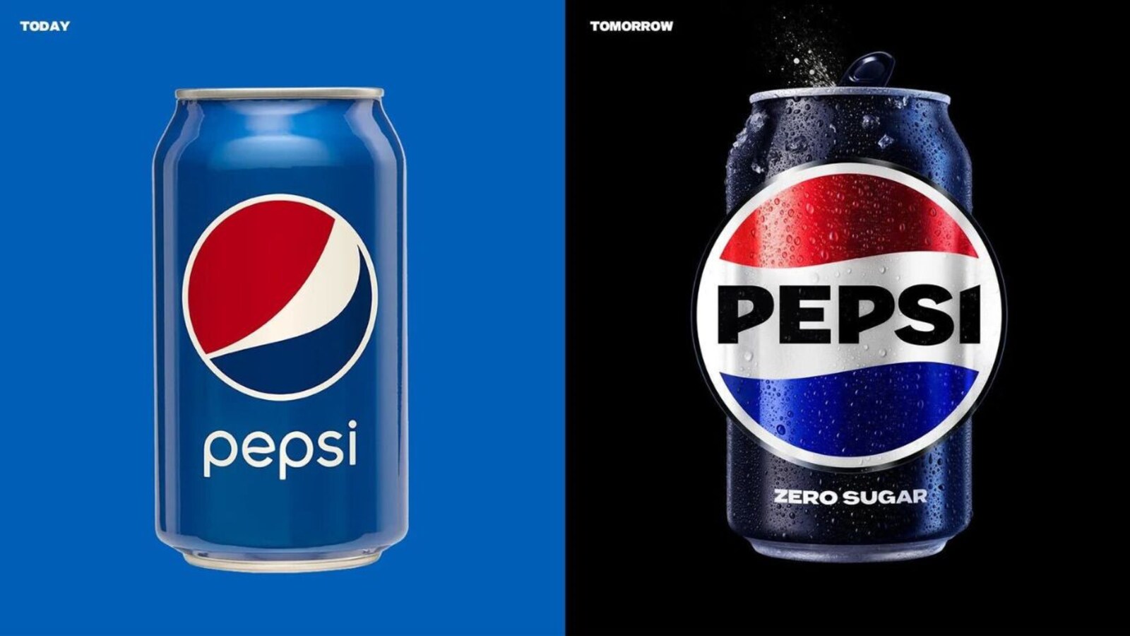 Pepsico India Logo Pepsico India Holdings Pvt Ltd In High