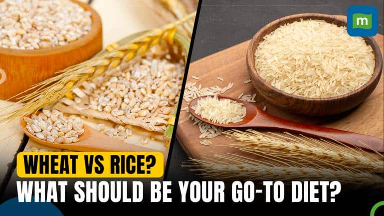 Roti vs Rice: Which is Healthier? Expert Advice on your ideal diet to ...