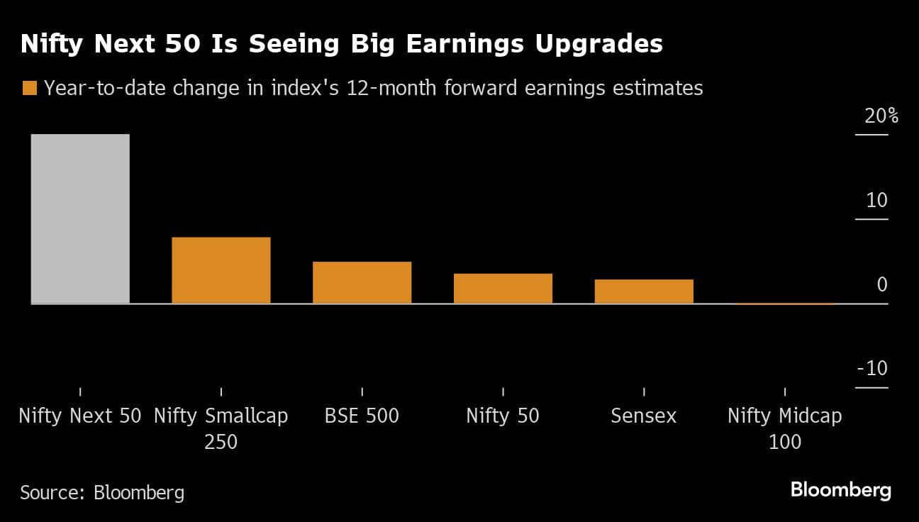 Hottest Indian stock index also has the best earnings potential